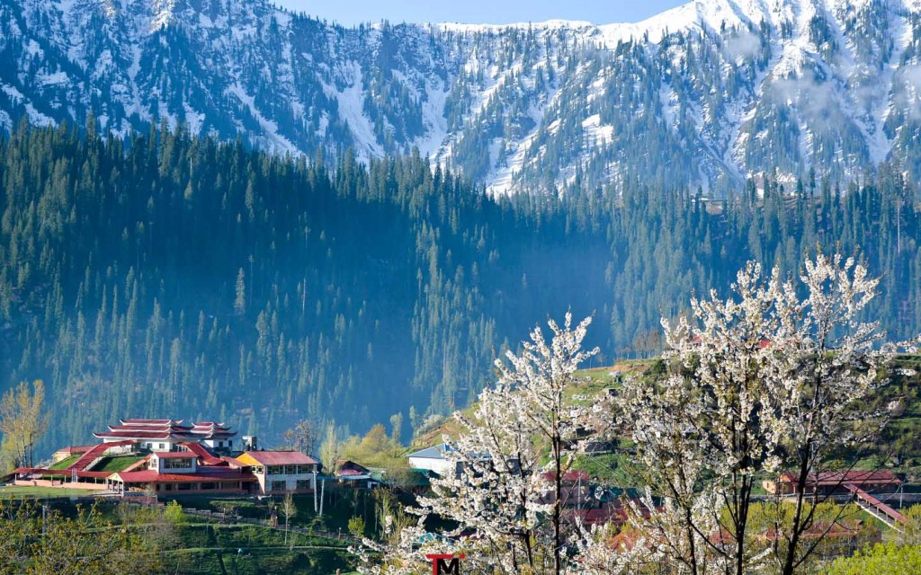 Tourist’s Guide to Kashmir: Sights, Activities & Tips | Zameen Blog
