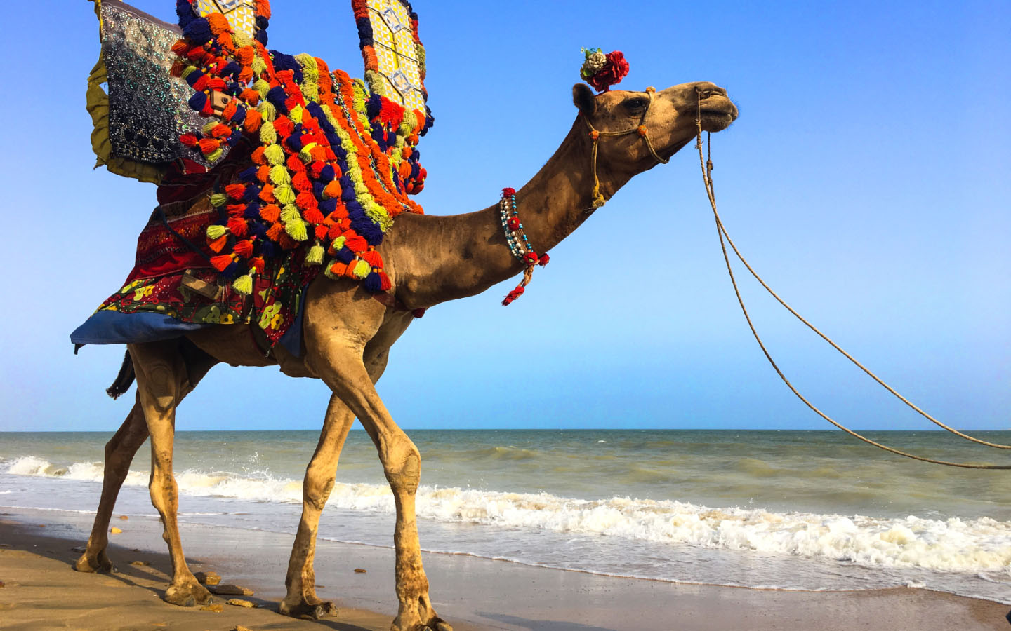 Top Beaches in Karachi Perfect for Picnic | Zameen Blog