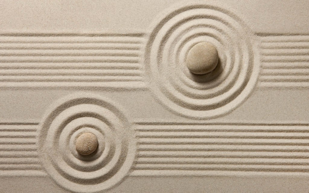 Creative Design Ideas for DIY Rock Garden | Zameen Blog