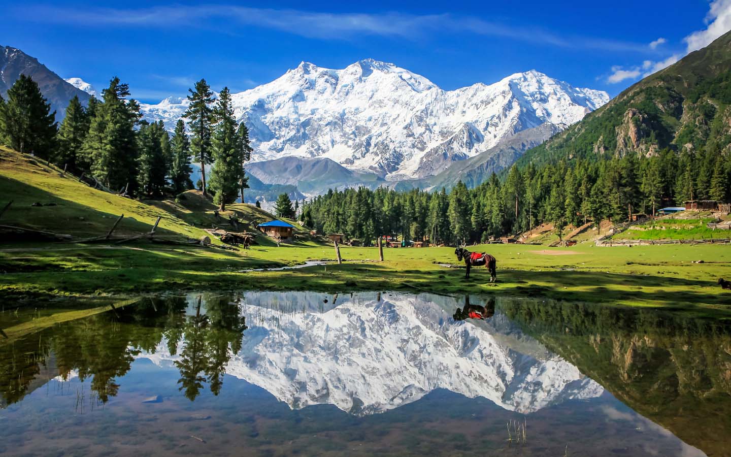 A Brief History Of Gilgit-Baltistan: Pakistan’s Famous Valley | Zameen Blog