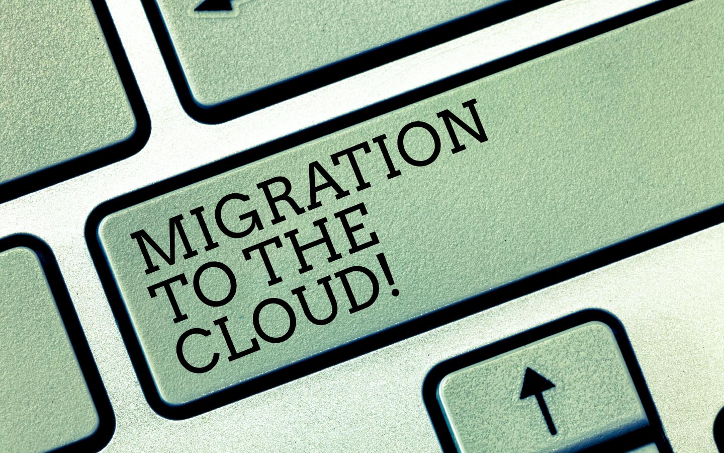 How to Go Paperless at Work and Prevent Deforestation | Zameen Blog