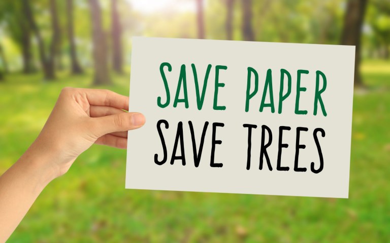 How to Go Paperless at Work and Prevent Deforestation | Zameen Blog