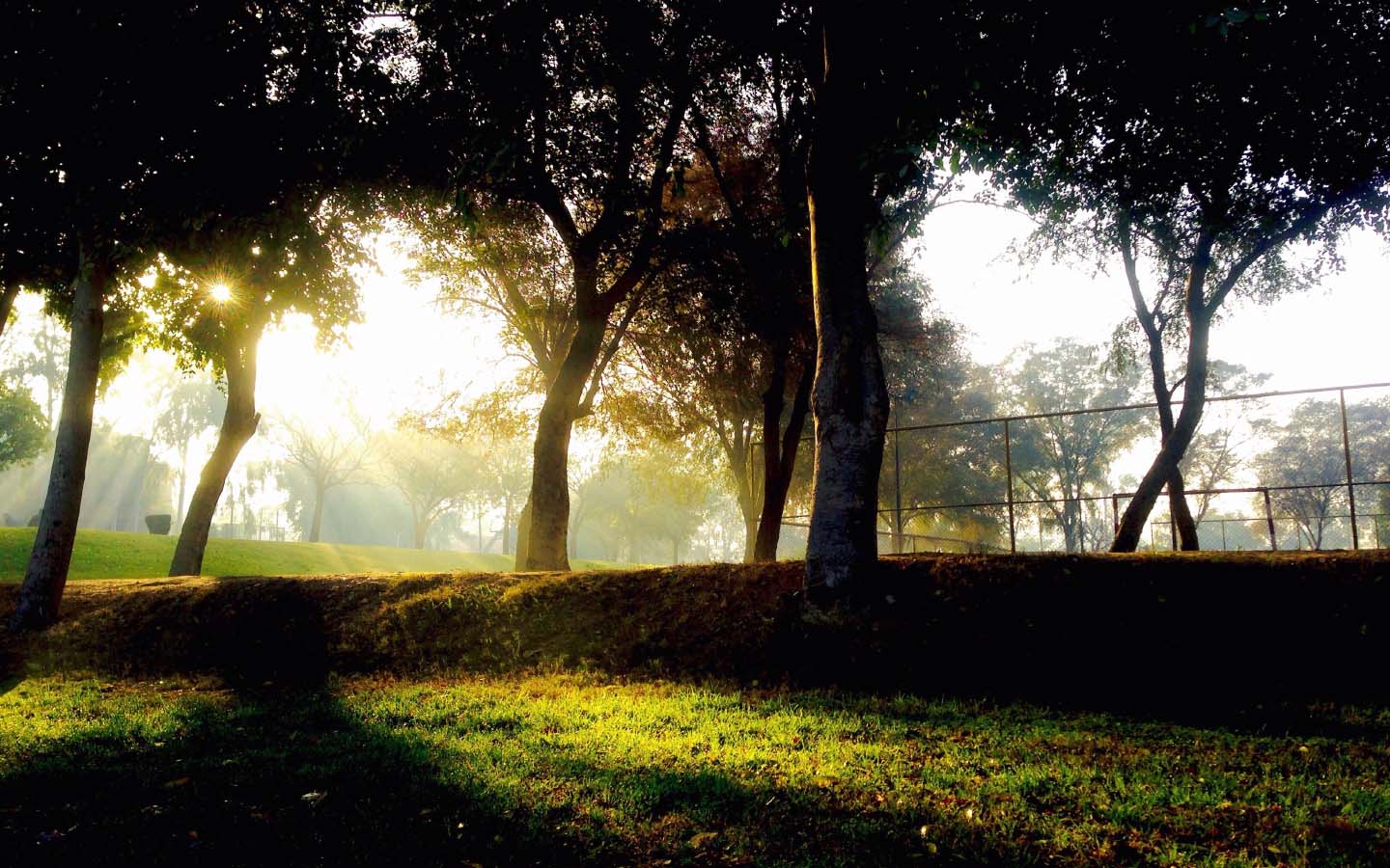 6 Most Famous Parks in Lahore: Location, Timings & More! | Zameen Blog