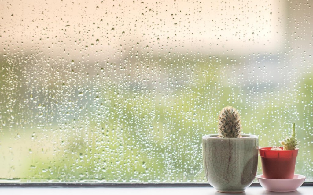 8 Safety Tips for Rainy Season Everyone Must Follow | Zameen Blog