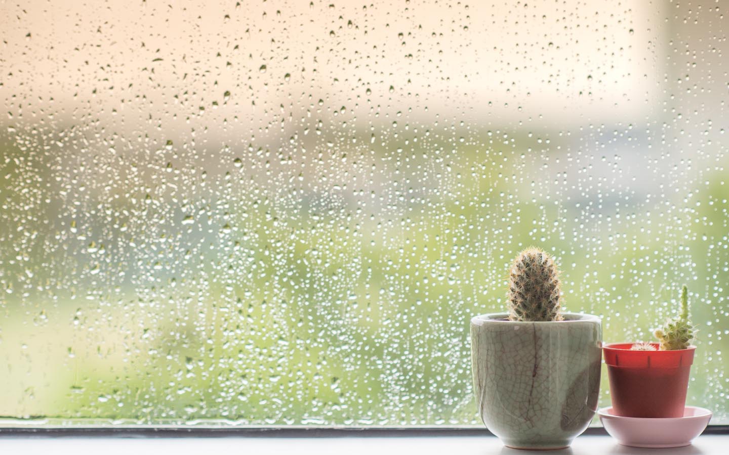8 Safety Tips for Rainy Season Everyone Must Follow | Zameen Blog