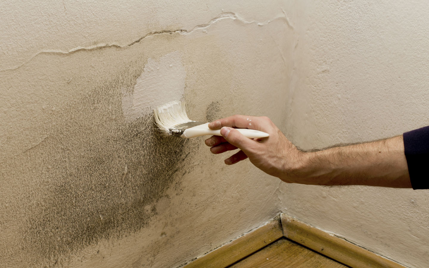 Tips to Prevent Mould from Growing During Monsoon | Zameen Blog