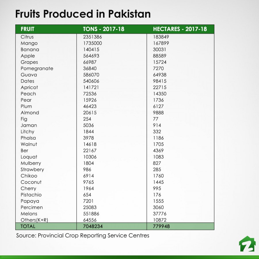 Popular Fruits in Pakistan: Kinnow, Dates, Mangoes & More | Zameen Blog