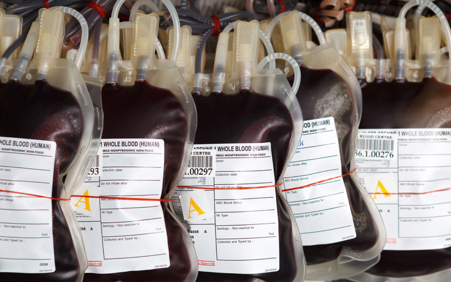 Blood Banks in Islamabad : Address, Contact & More! | Zameen Blog