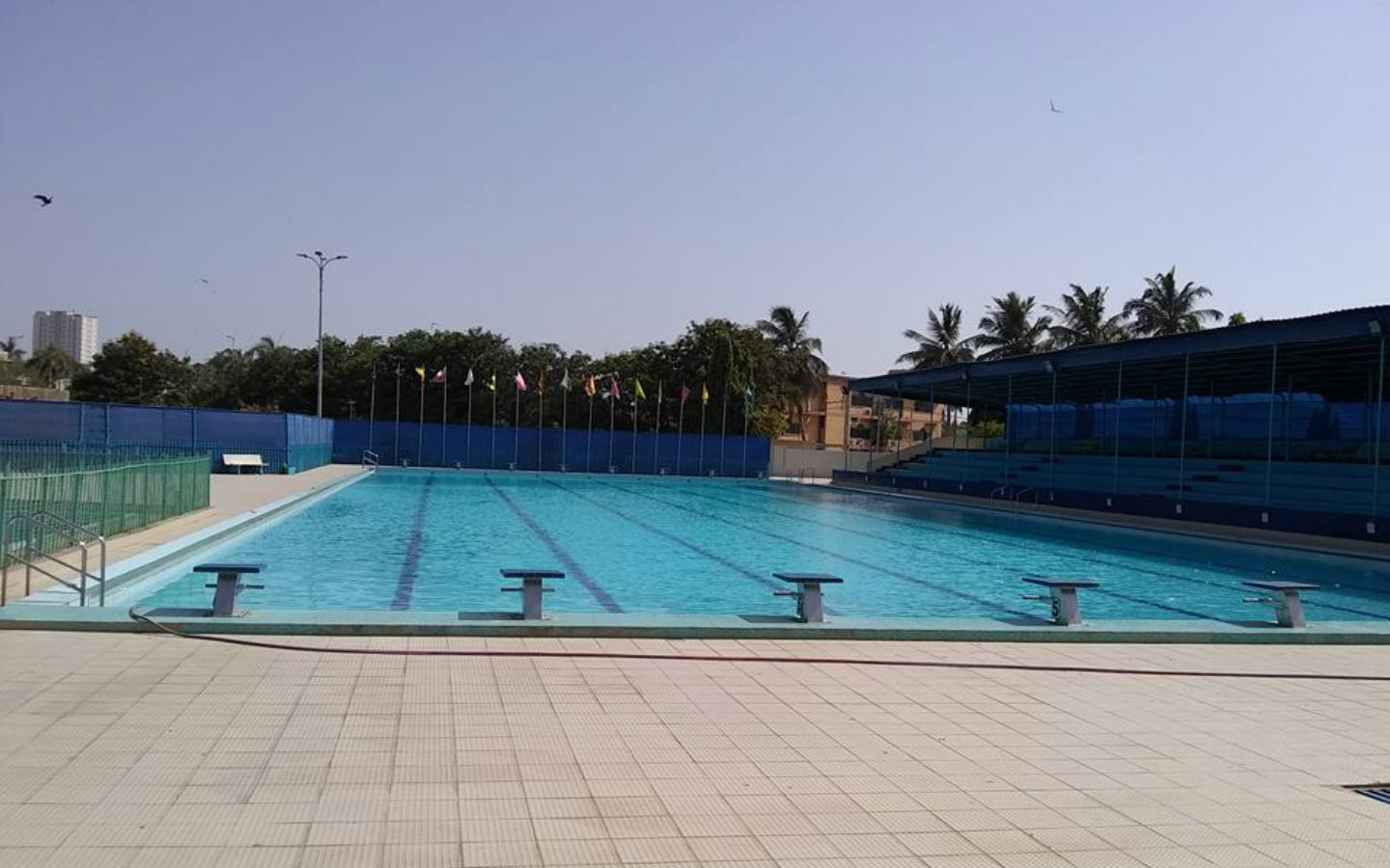 Best Swimming Pools in Karachi | Zameen Blog