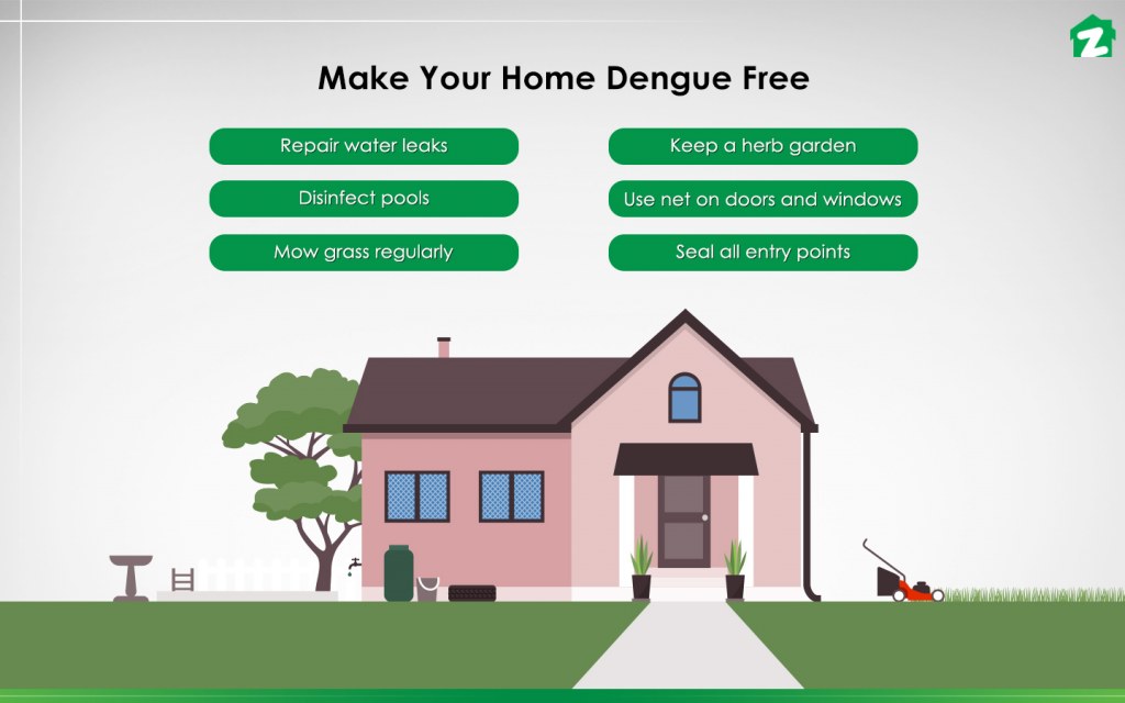 Keep Mosquitoes Away and Make Your Home Dengue Free | Zameen Blog