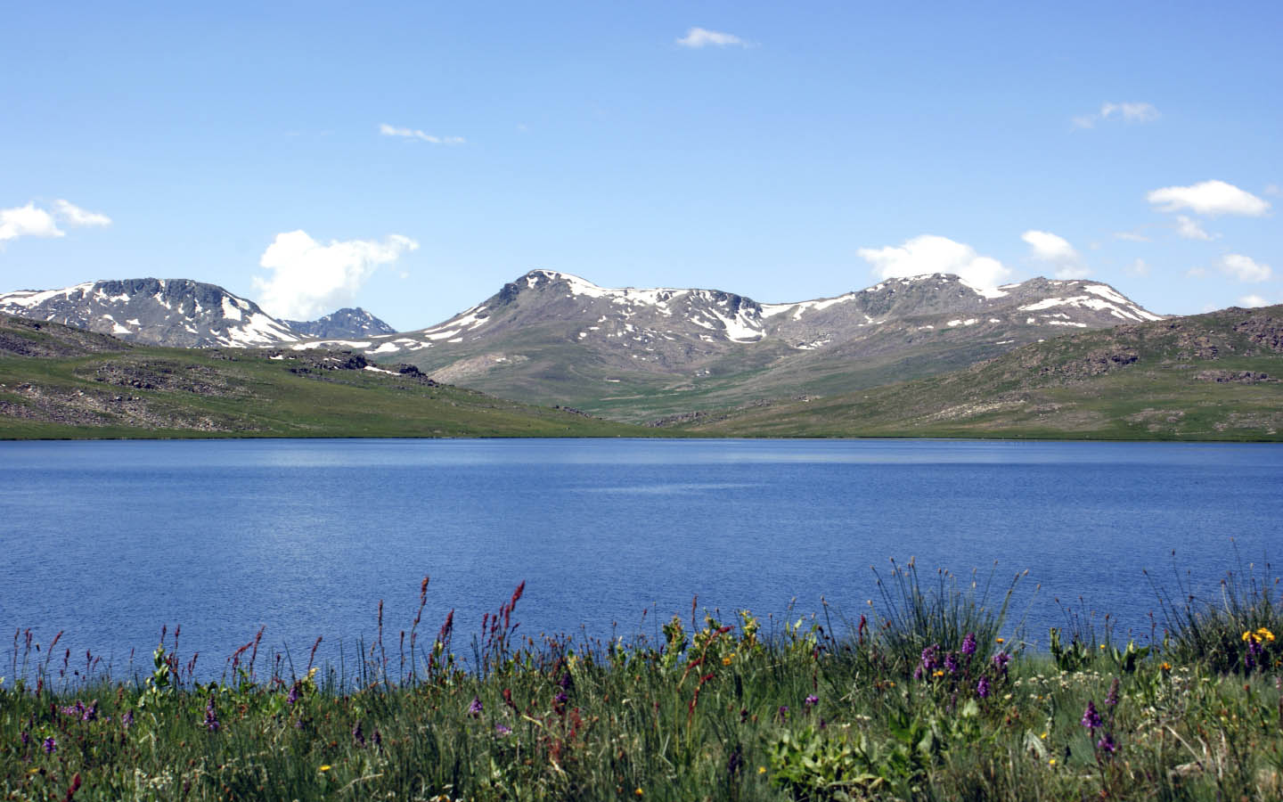 Visit Deosai National Park, Pakistan: A Complete Guide | Zameen Blog