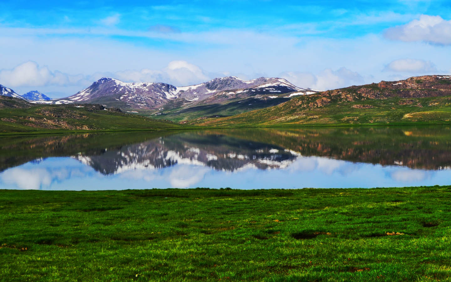 Visit Deosai National Park, Pakistan: A Complete Guide | Zameen Blog