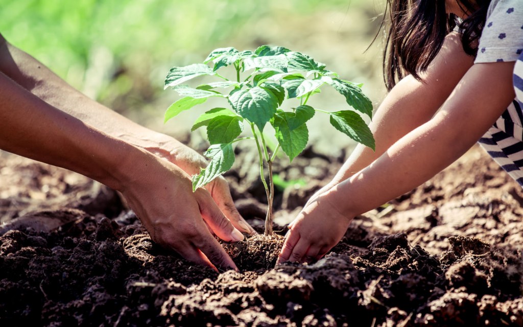 Clean Green Pakistan Index to be Launched in Nov, 19| Zameen Blog