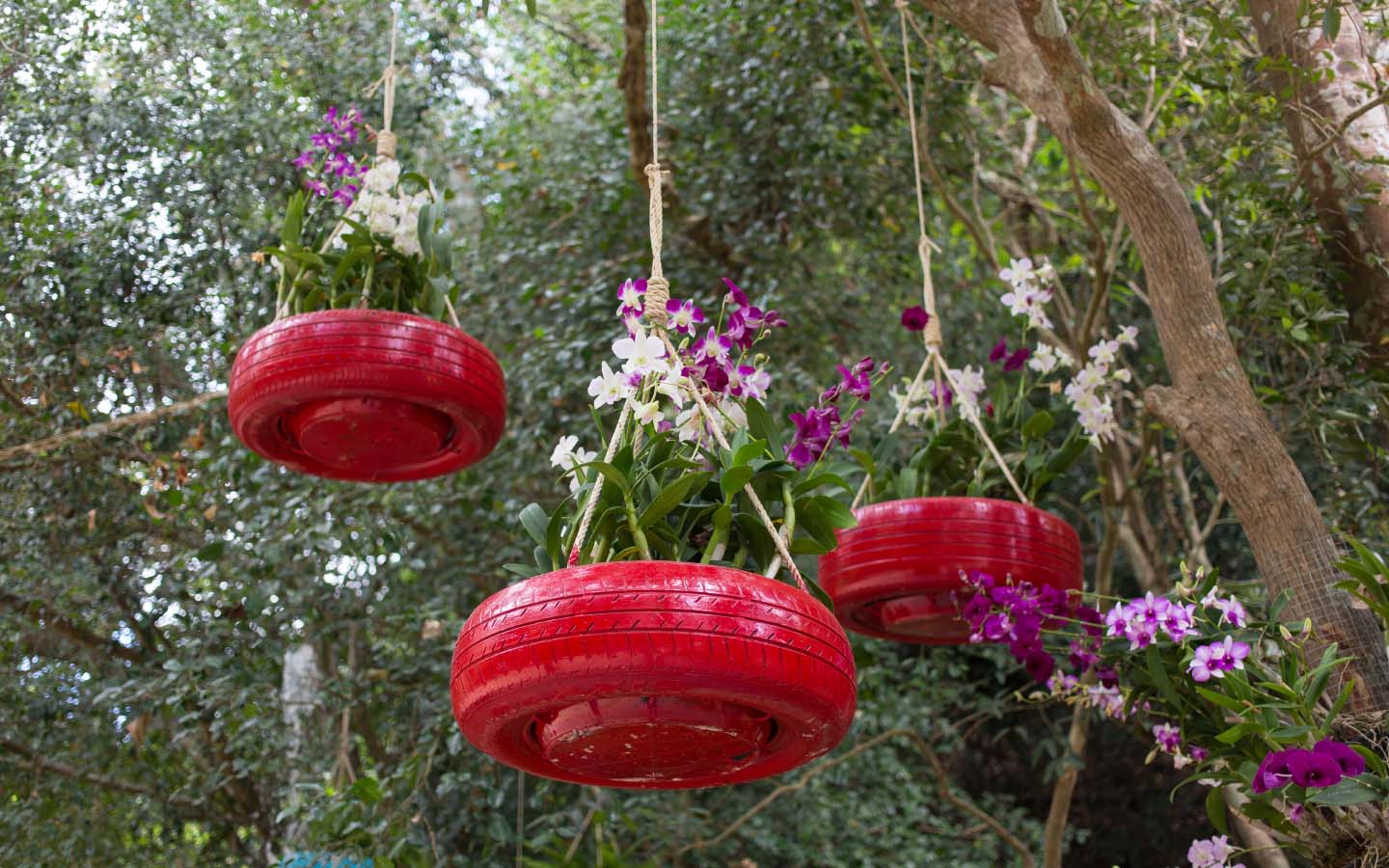 Creative Ways to Recycle Old Tyres in Garden Decor | Zameen Blog