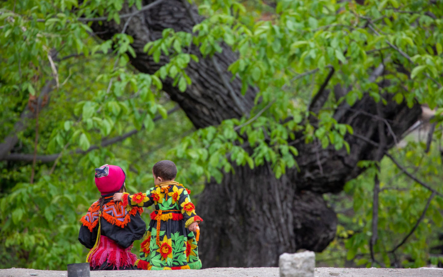 Kalash Winter Festival: History, Facts, & More! | Zameen Blog