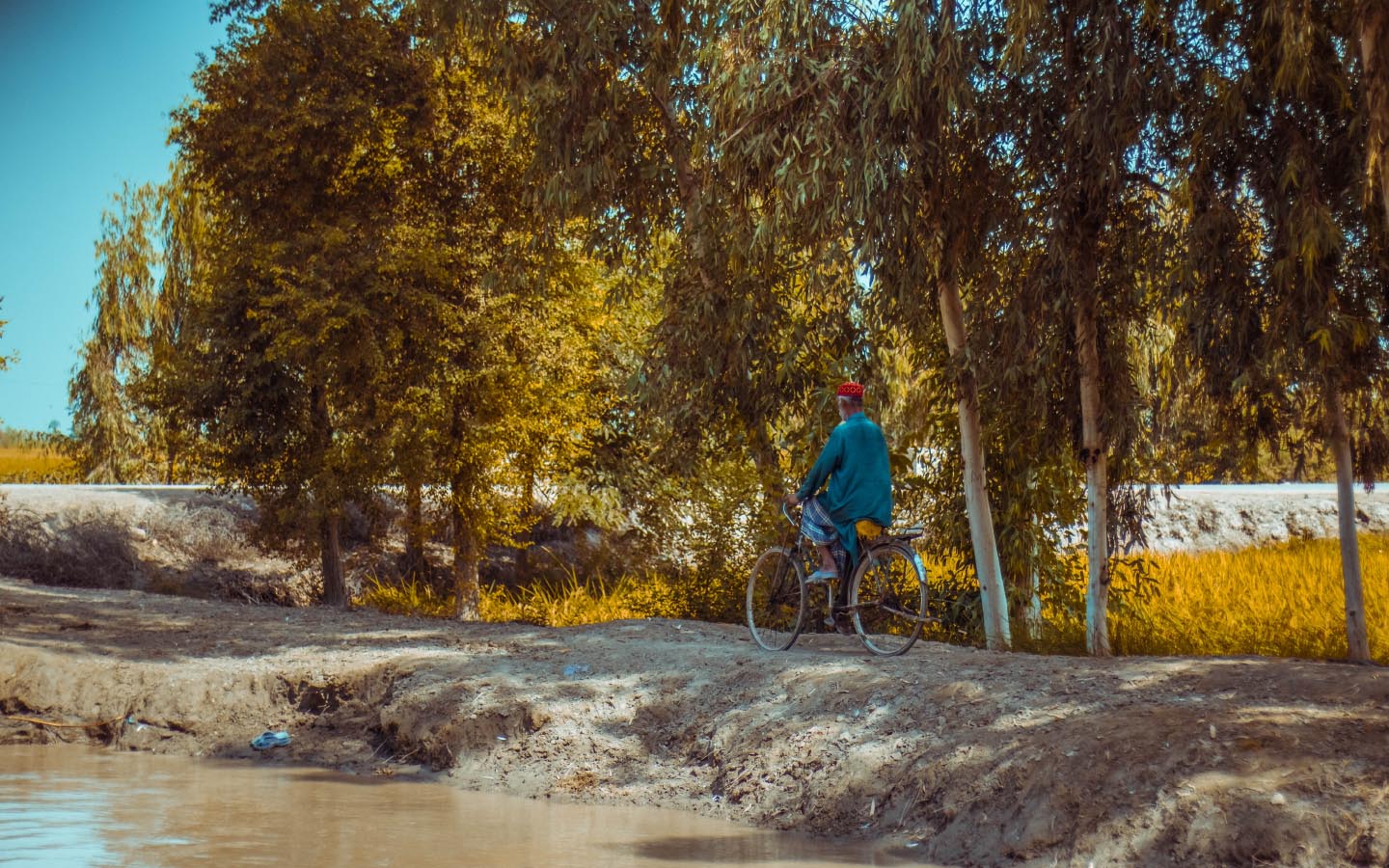 Popular Languages Spoken in Pakistan | Zameen Blog