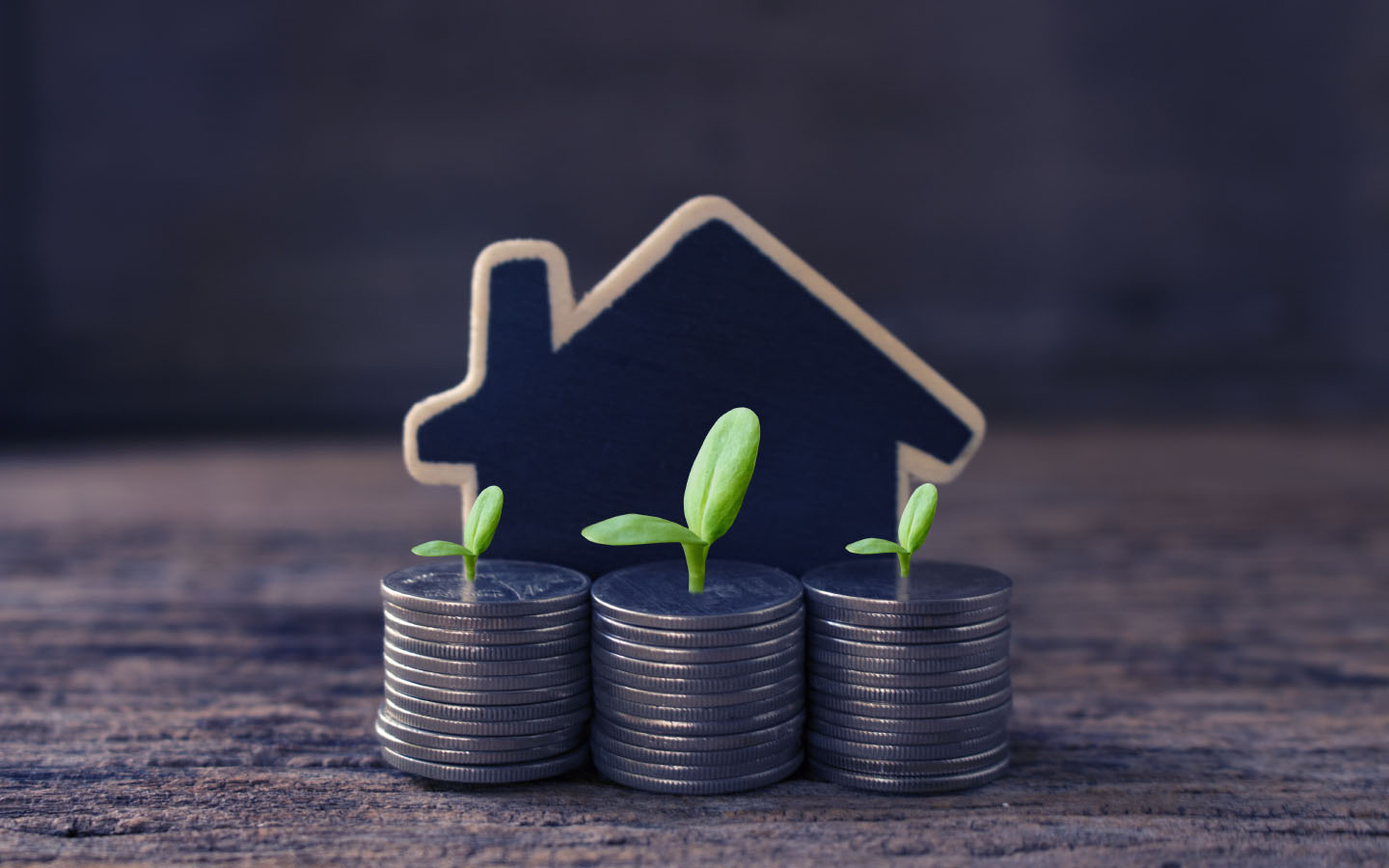 Best Opportunities for Small-scale Investment in Pakistan | Zameen Blog