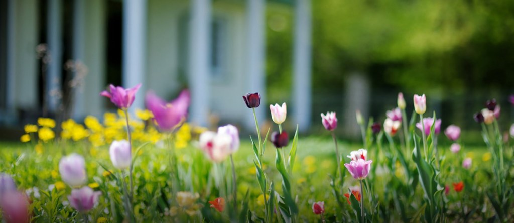 Simple Ways to Prepare Your Home for Spring | Zameen Blog