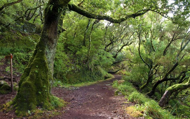 Forests in Pakistan: Location, Covered Area & More | Zameen Blog