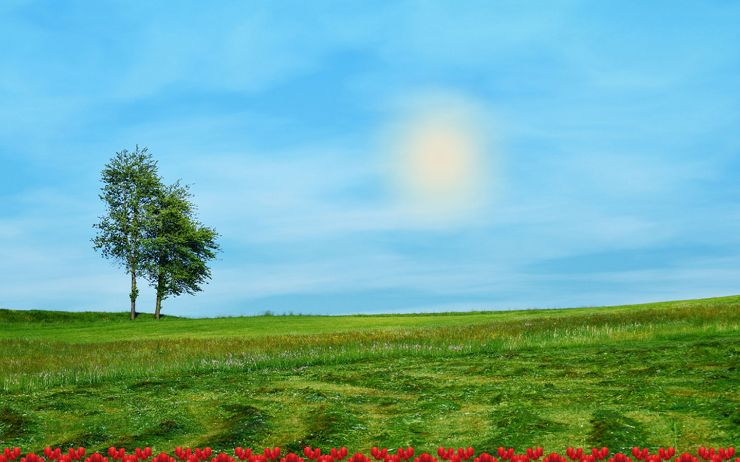 Definition and Basic Types of Land in Pakistan | Zameen Blog