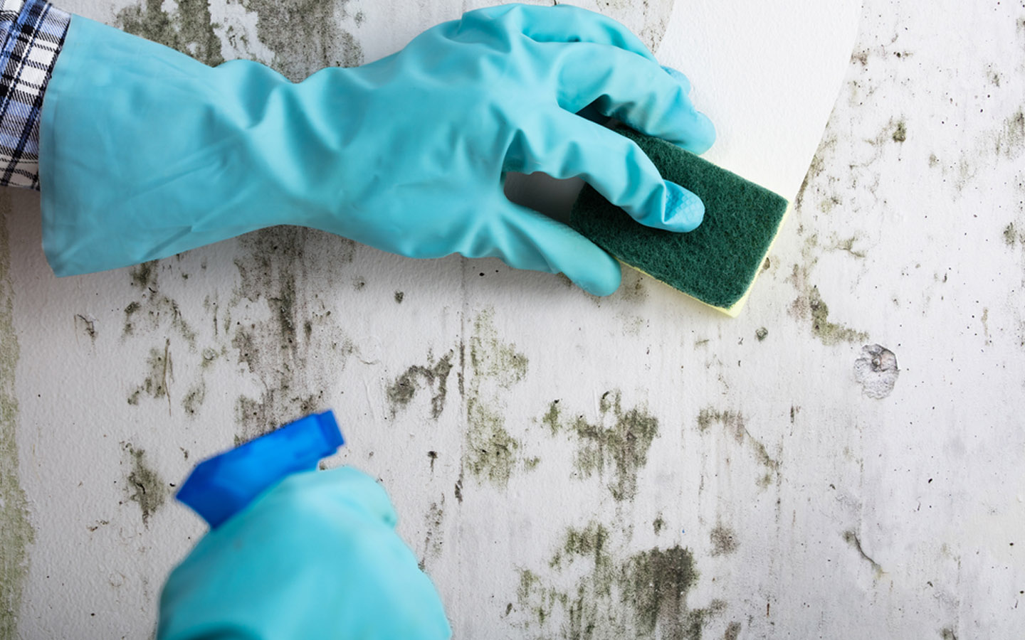 Best DIY Ways to Clean Painted Walls | Zameen Blog