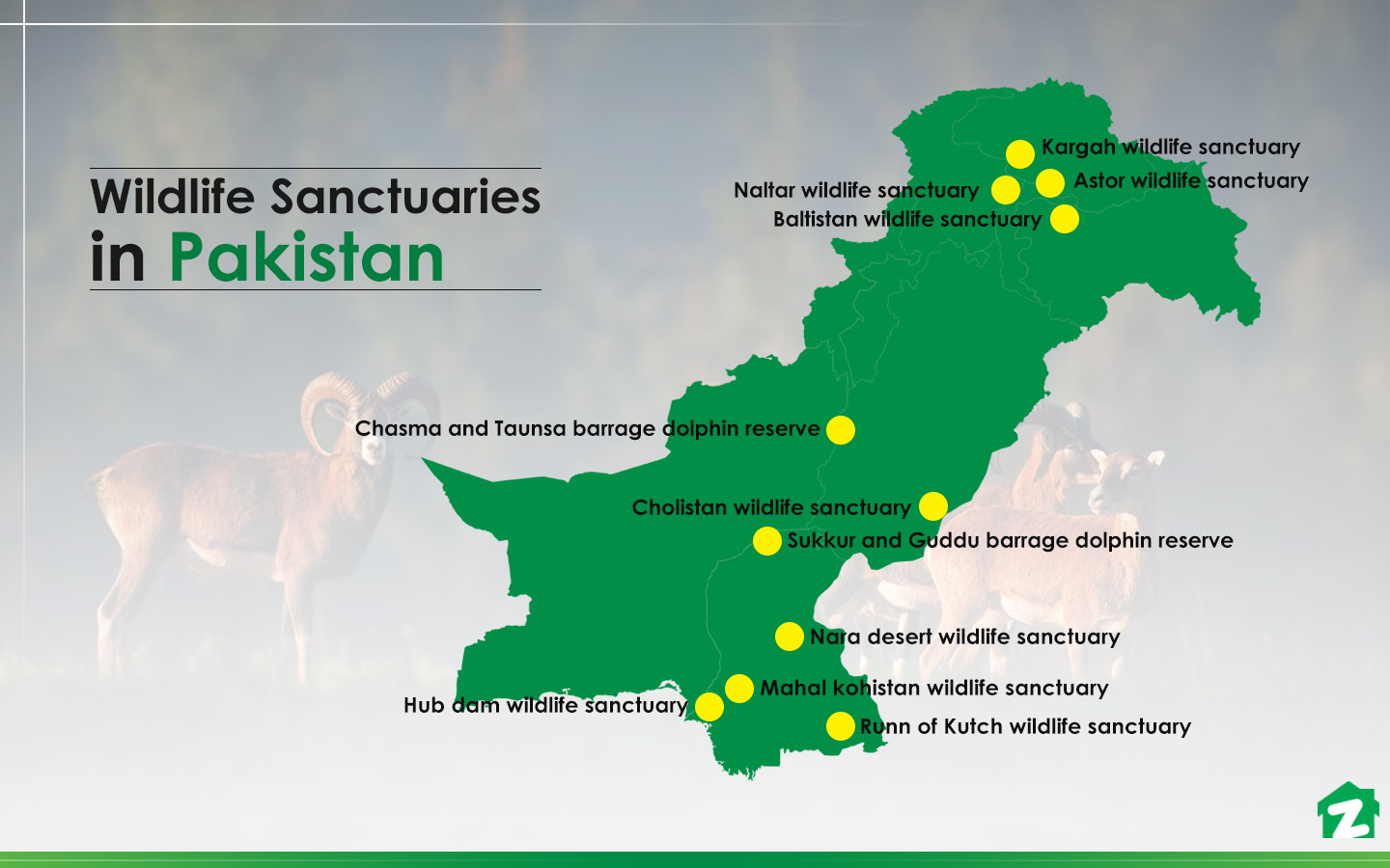 Wildlife Sanctuaries in Pakistan: Location, Species & More | Zameen Blog