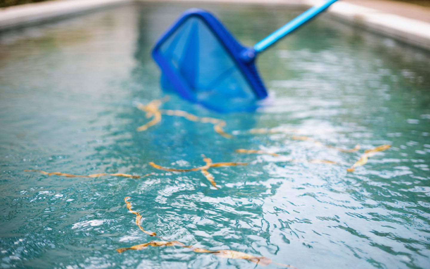DIY Ways to Clean and Maintain Your Pool | Zameen Blog