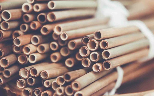 Eco-Friendly Alternatives to Everyday Items | Zameen Blog