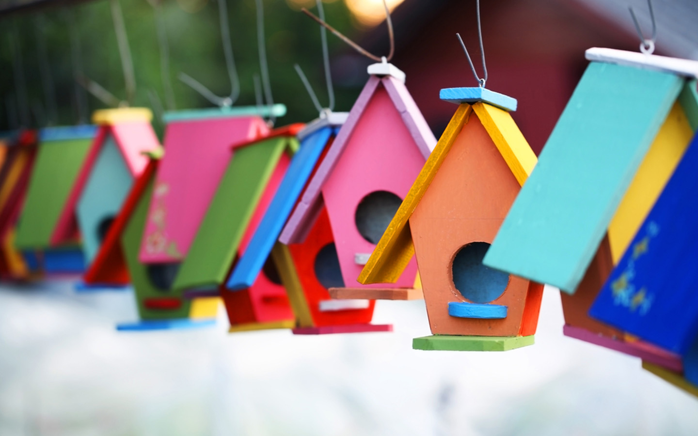Best Ways to Attract Birds to Your Garden | Zameen Blog