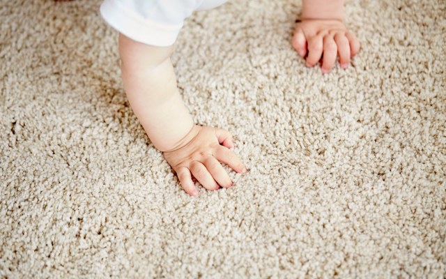 Pros and Cons of Carpet Flooring for Your Home | Zameen Blog