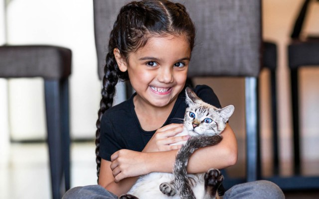 Some of the Best Pets for Kids in Pakistan | Zameen Blog