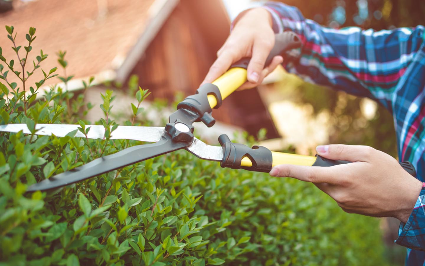 Essential Home Gardening Tools & Their Uses | Zameen Blog