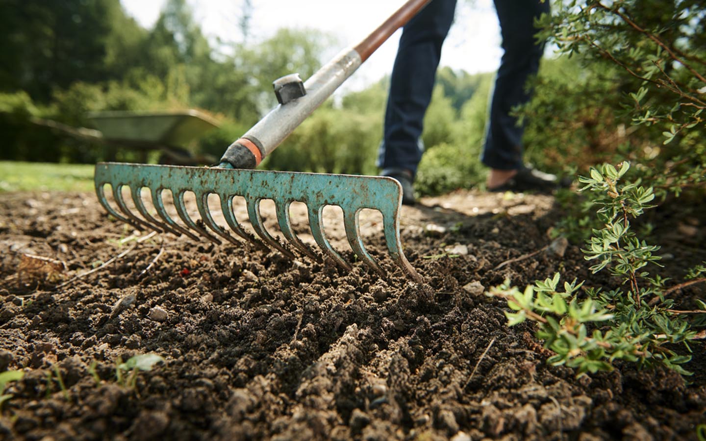 Essential Home Gardening Tools & Their Uses | Zameen Blog