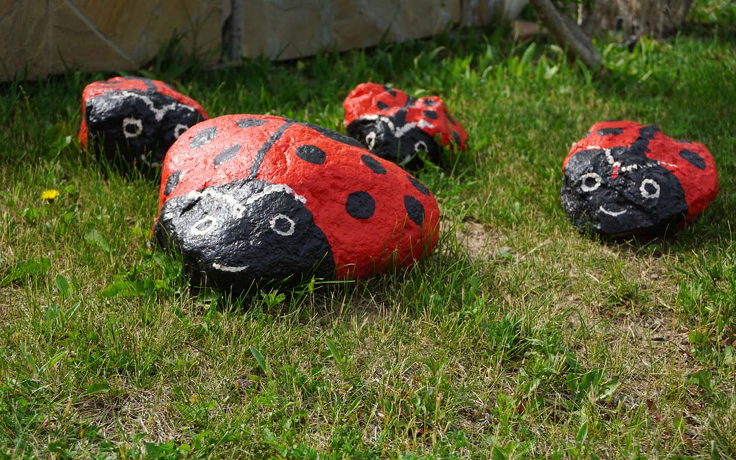 Best Garden Decorations and Ornaments for Your Lawn Decor