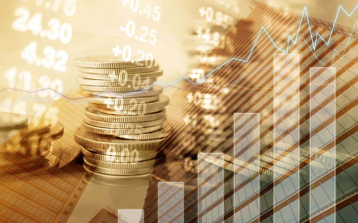 Best Opportunities for Small-scale Investment in Pakistan | Zameen Blog