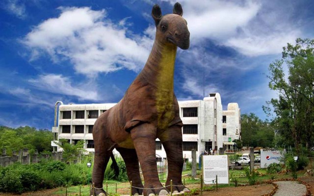 Pakistan Museum of Natural History: Timings, Tickets & More | Zameen Blog