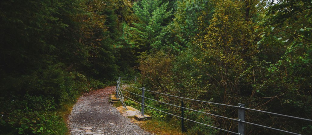 Best Places to Visit in Galiyat: Nathia Gali, Ayubia & More | Zameen Blog