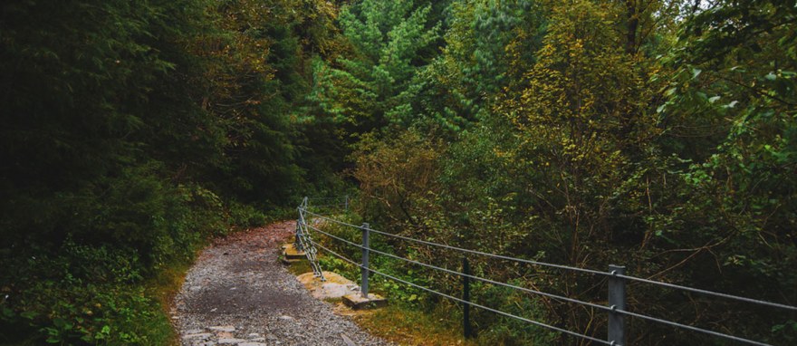 Best Places to Visit in Galiyat: Nathia Gali, Ayubia & More | Zameen Blog