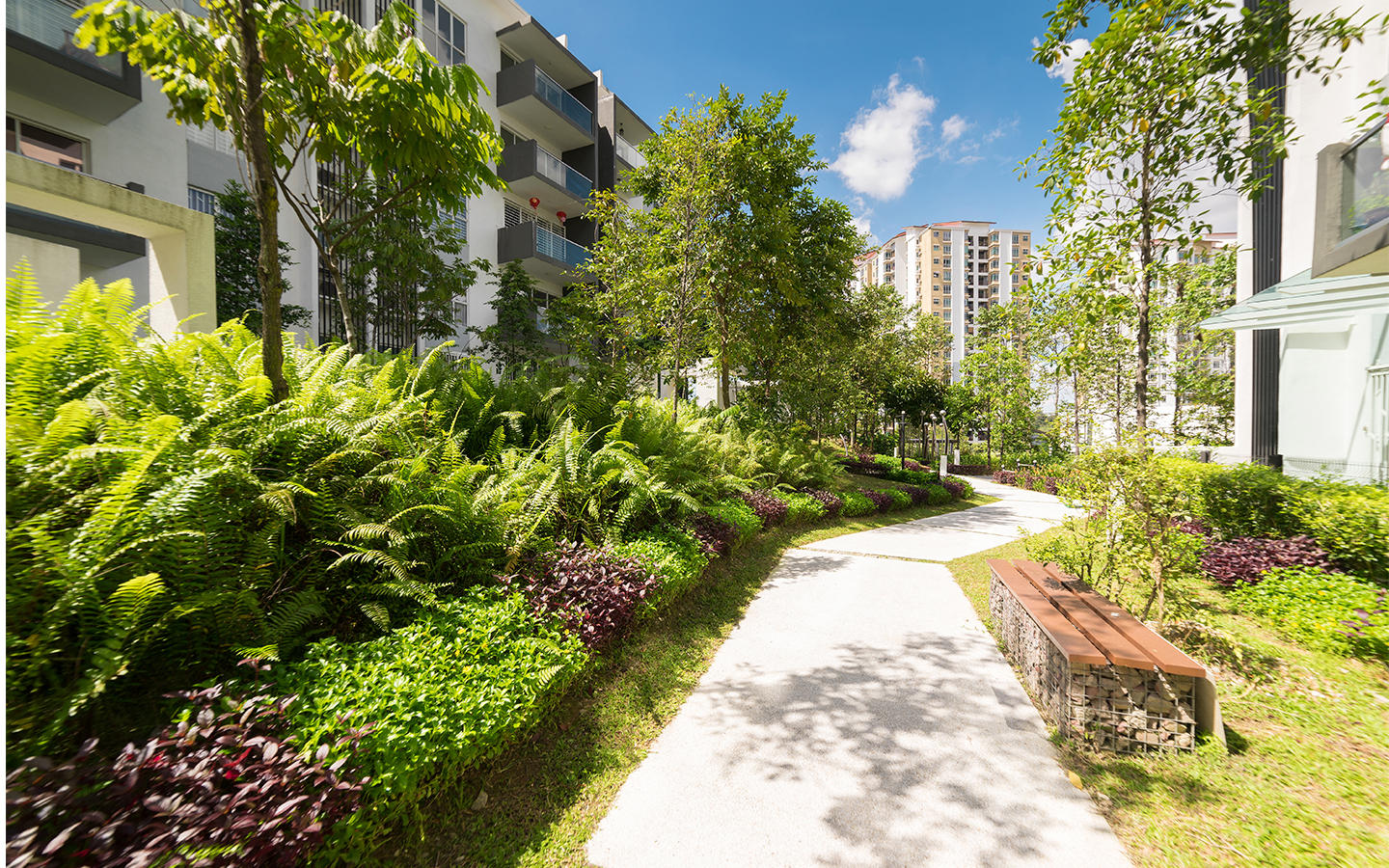 The Importance of Green Spaces in Cities | Zameen Blog