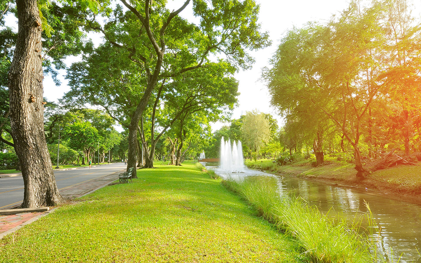 The Importance of Green Spaces in Cities | Zameen Blog