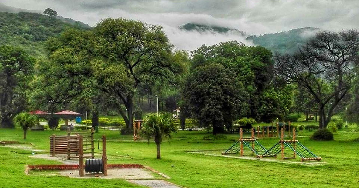 Tree Plantation in Pakistan: Greenery, Initiatives, Campaigns & More ...