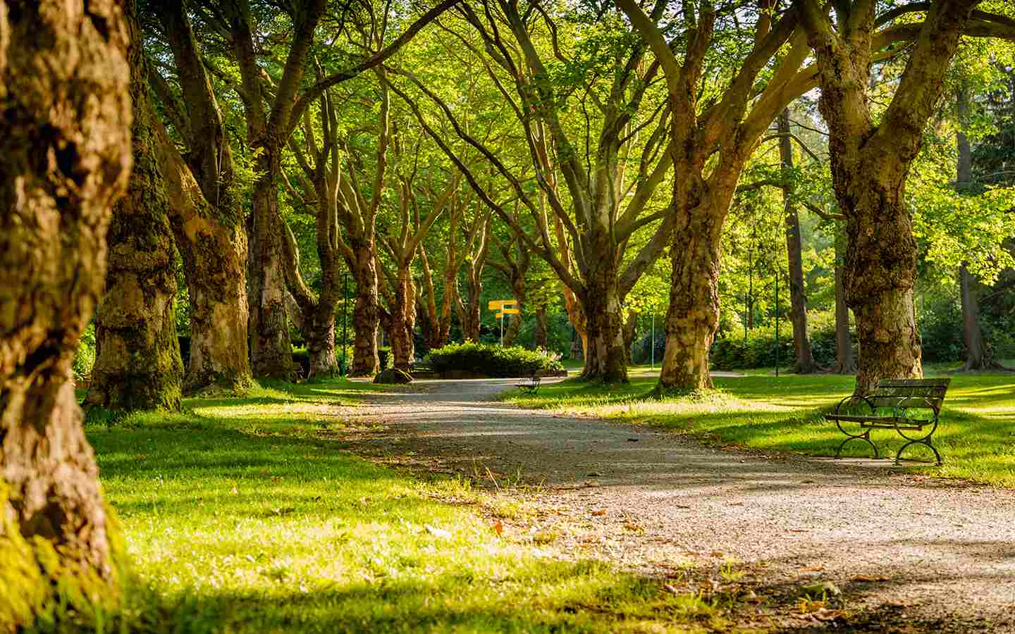 The Importance of Open Spaces in Cities | Zameen Blog