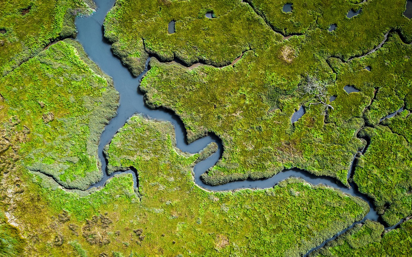 Sponge Cities & Urban Construction to Prevent Floods | Zameen Blog