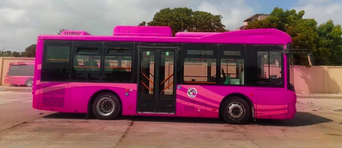 Pink Bus Service in Karachi: Route, Timings & More | Zameen Blog