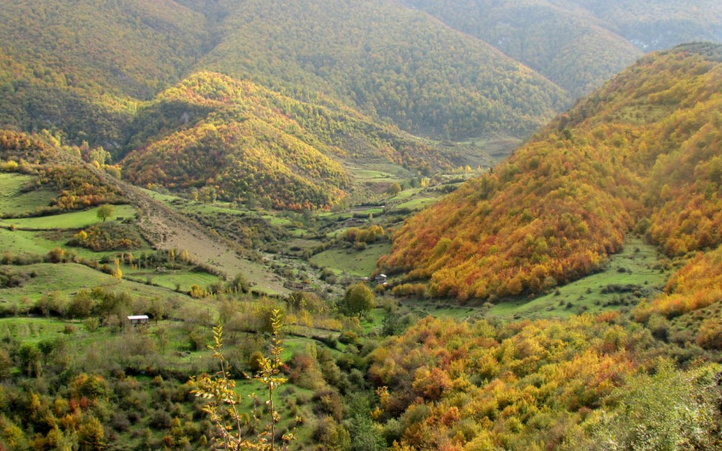 Discovering Ziarat the top tourist spot